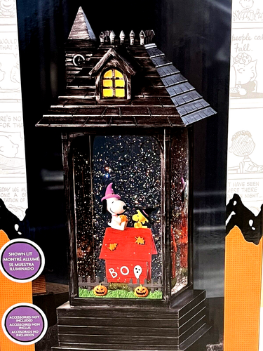 Peanuts Snoopy Halloween Spooky Lantern with Lights & Music | eBay