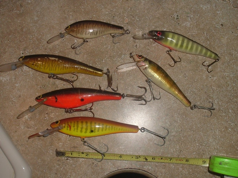 Old Fishing Lures Huge Lot Bagleys DB06 RARE Bagley Colors Wallye Musky ...