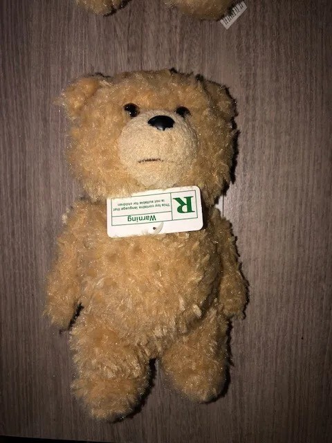 **RARE* NEW REAL 8" OFFICIAL TALKING TED Stuffed FILM BEAR Seth ...