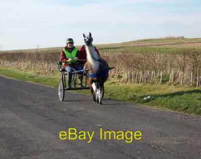Photo 6x4 Llama driving on Teglease Down Coombe/SU6620 The llama passes ...