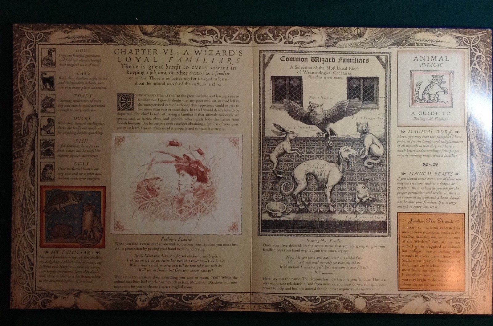 Wizardology: The Book of the Secrets of Merlin (Ologies) Master Merlin ...