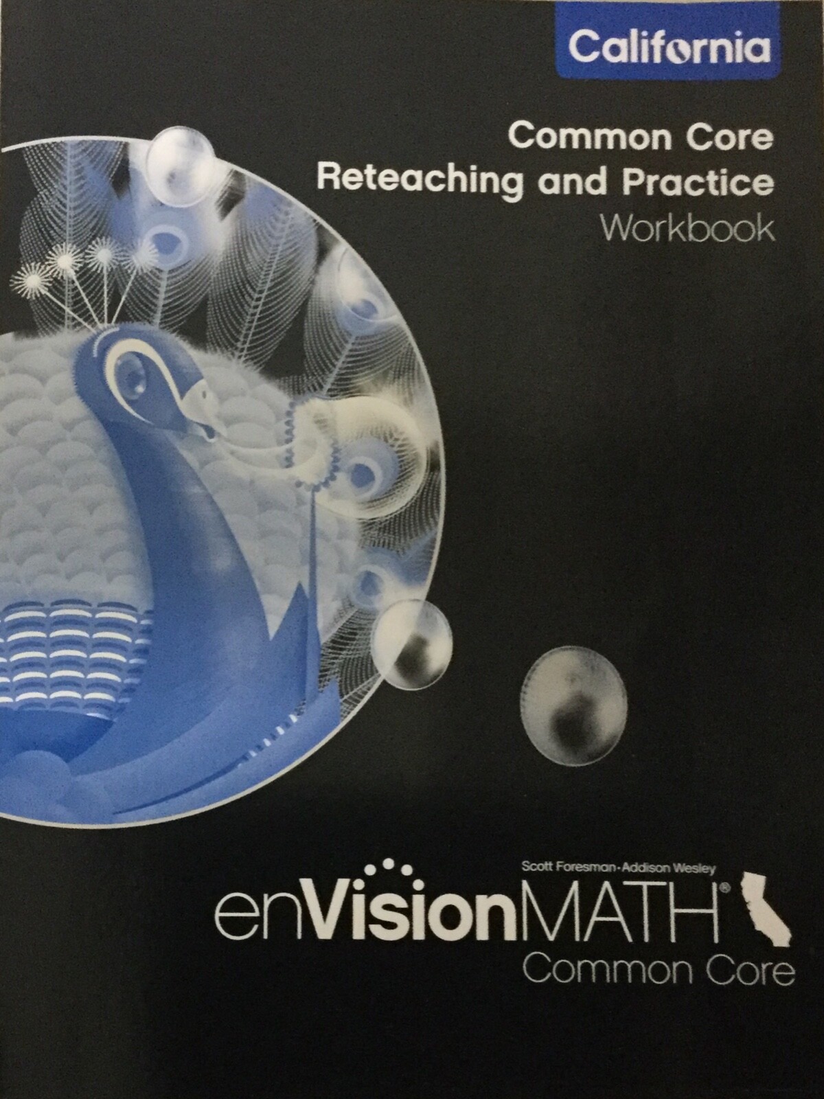 EnVision Math Grade 5 Common Core Reteaching And Practice Workbook envision-math-grade-5-common-core-reteaching-and-practice-workbook