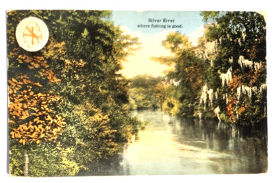 Silver River Where Fishing is Good Postcard | eBay