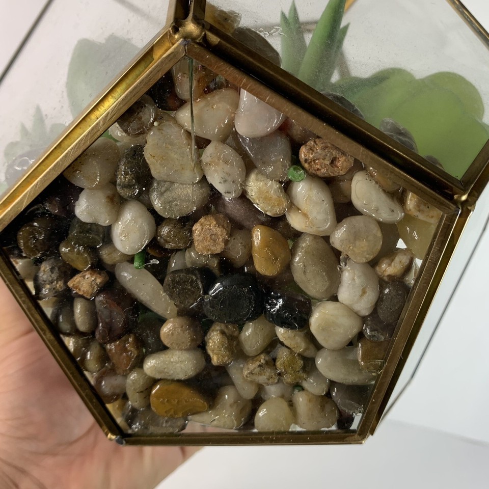 Gold Brass Glass Geometric Terrarium Pentagon 6.5” with Fake Plants and ...