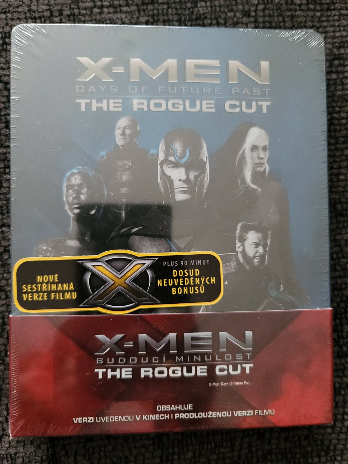 X Men Days Of Future Past Rogue Poster