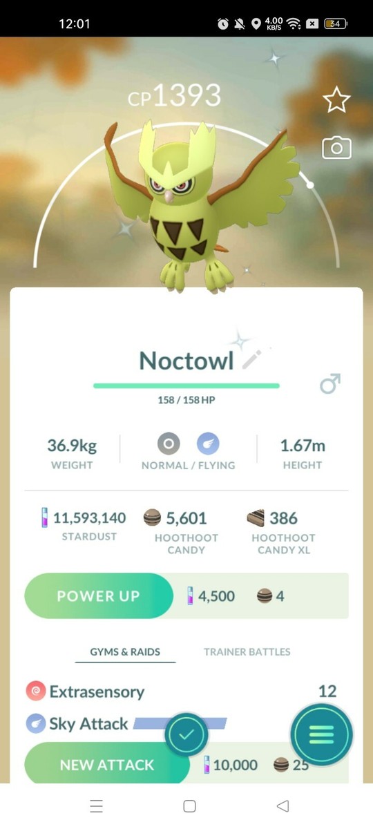 Noctowl Evolution Shiny Hoothoot Catch & Noctowl Evolution After 256