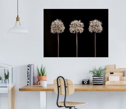 3D Grey Dandelion A002 Wall Stickers Wall Murals Wallpaper Assaf Frank ...