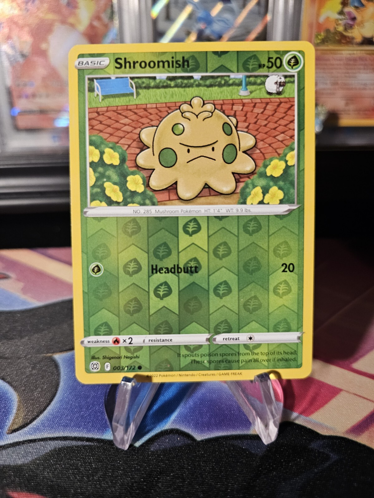 Shroomish 003/172 - Brilliant Stars - Common - Pokemon Card TCG | eBay