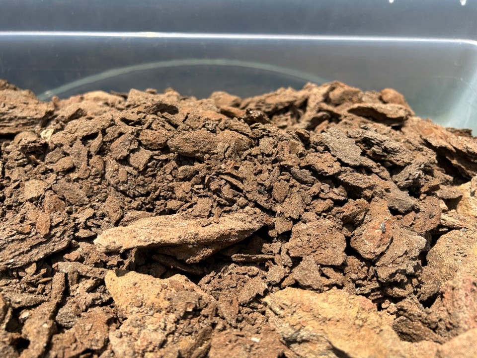 1 LBS Texas Micro Fossil Matrix Ozan Formation Find your Own Fossils ...