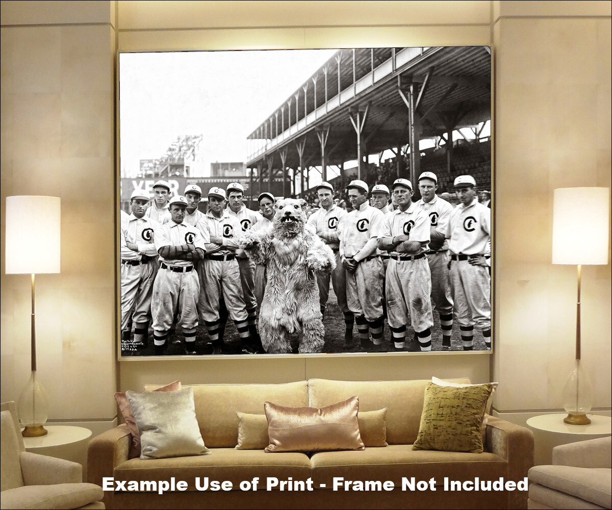 Chicago Cubs 1908 World Series Champions Mascot Team 48x36-8x10 CHOICES ...