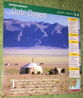 Endangered Species Animal Card - Habitats - Gobi Desert #12 | eBay