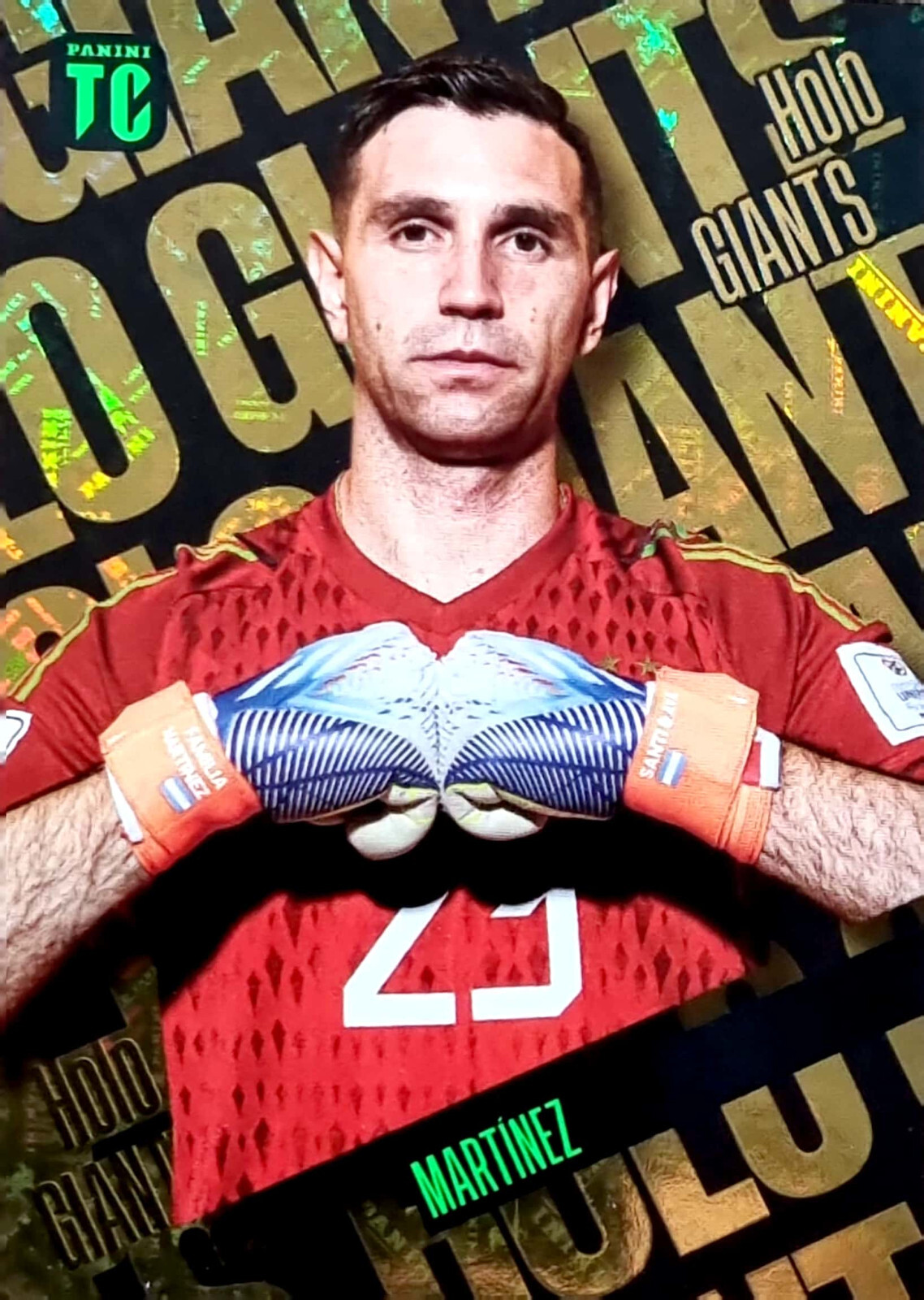 Panini -- HOLO GIANT -- TOP CLASS 2023 - Limited Edition - Einzeln zum ...