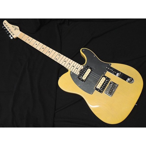 SCHECTER OL-TE-2H-FXD BSC M SCHECTER Telegive Style Telecaster Type ...