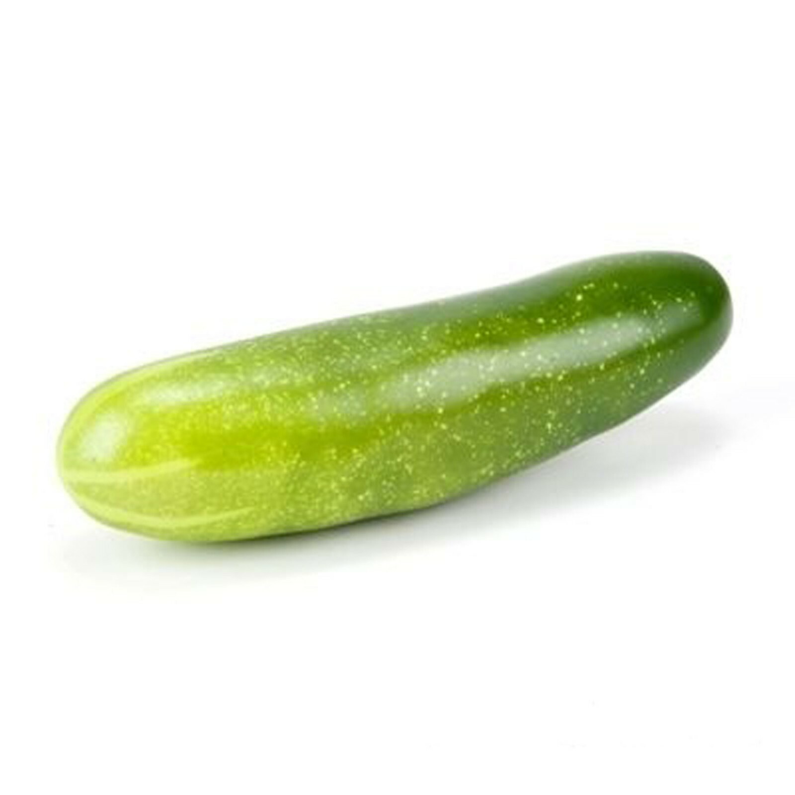 Artificial Vegetable Green Cucumber, Box of 6 Fake Garden Vegetable 7 ...