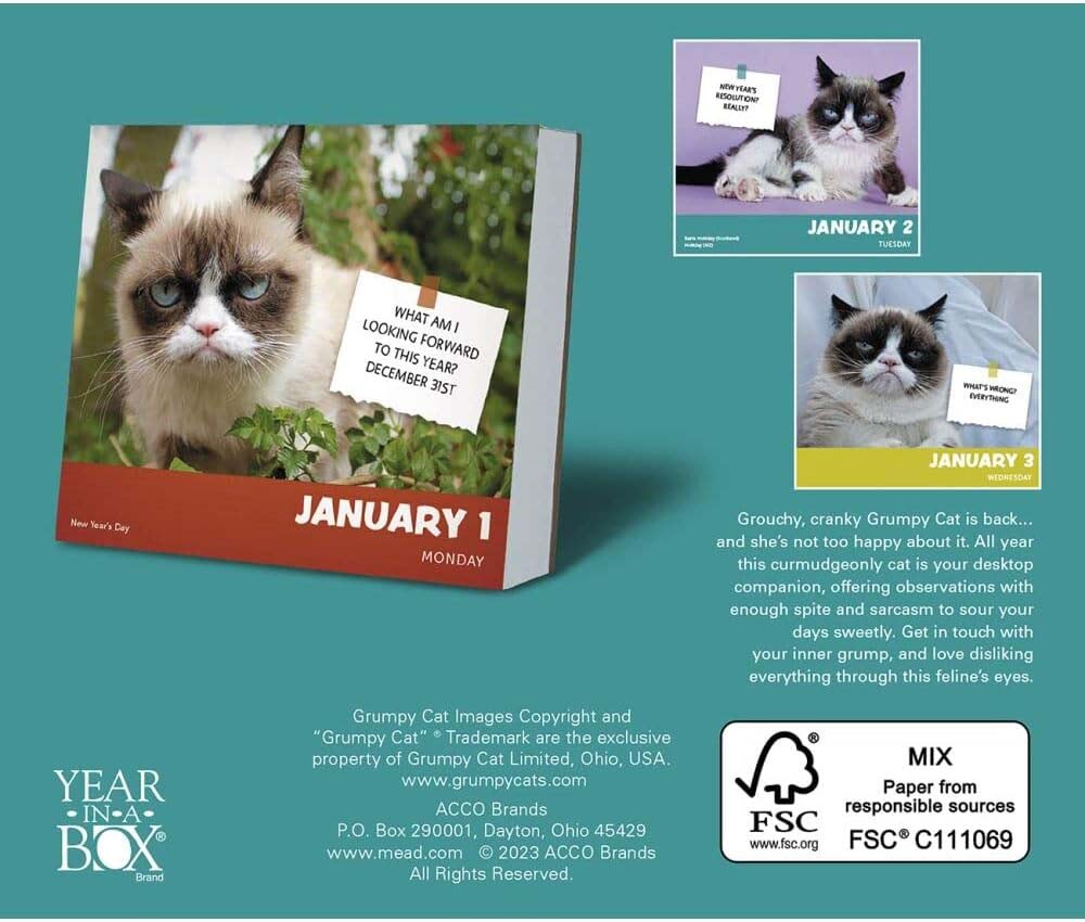 Happy Monday Grumpy Cat