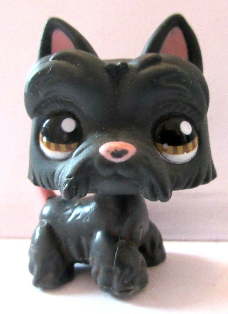 Westie Figurines d’occasion | Plus que 4 à -75%