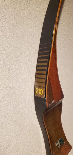 Vintage Ben Pearson Compound Bow 210 Ben Peason 210 | eBay