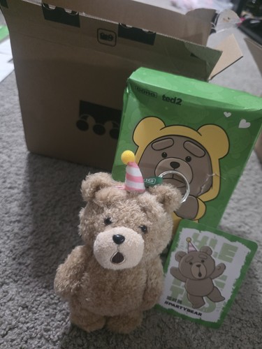 Pop MART Ted 2 Bear Series Plush | eBay