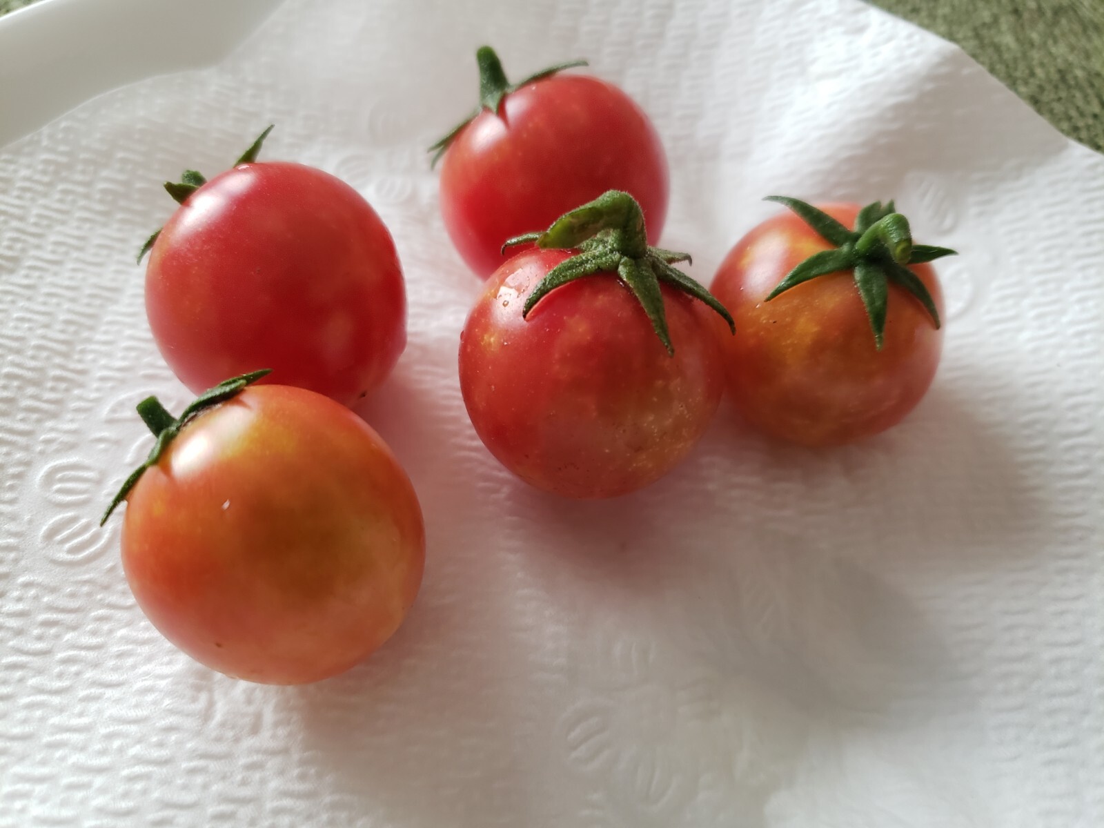 Isis Candy Cherry Tomato (30 seeds) - Free Shipping - Sweet and Fruity ...