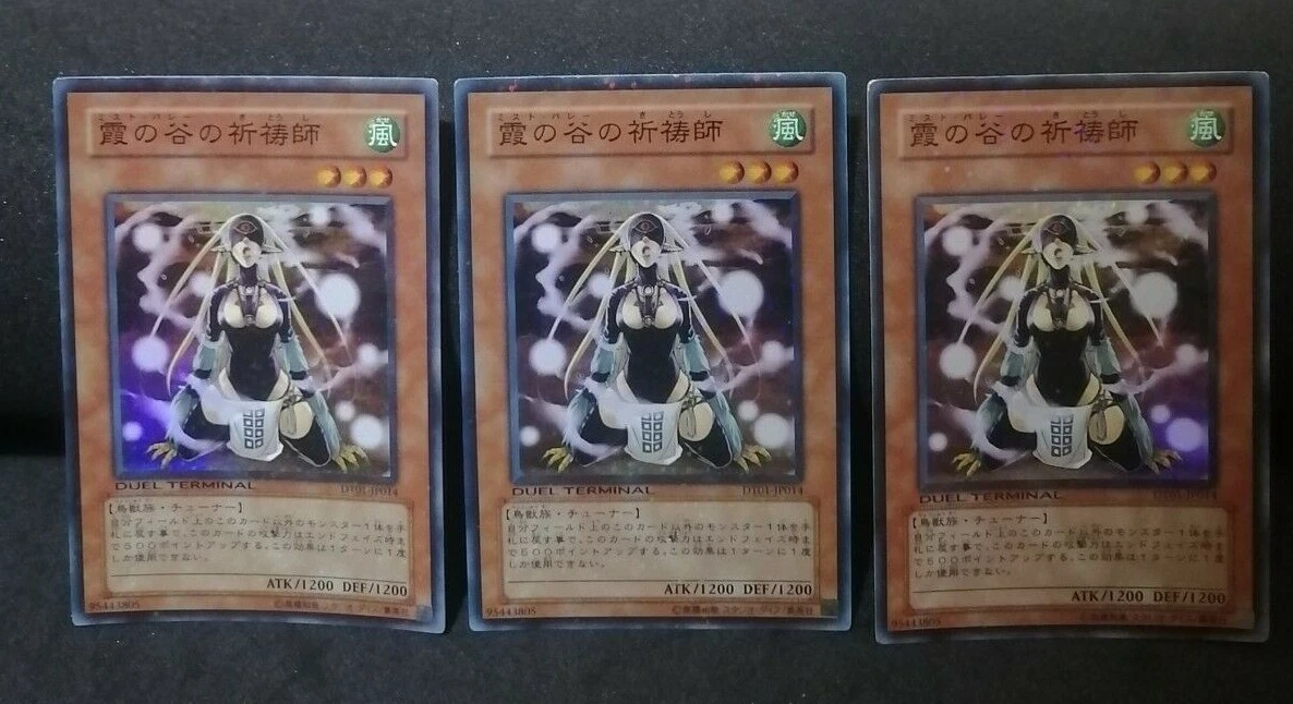 Mist Valley Shaman Art