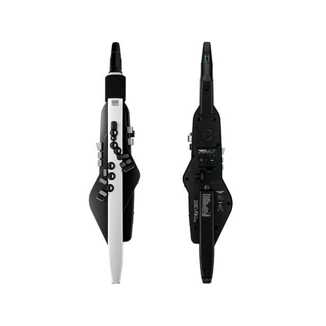 ROLAND Aerophone AE-20 AE20 Digital Wind Instrument Synthesizer W ...