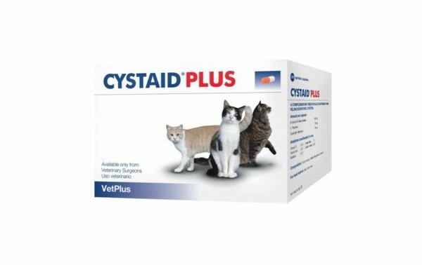 Cystaid Plus Cystitis Glucosamine Mine Capsules for Cats - 240 Count ...