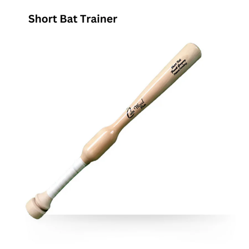 Camwood Bats* Softball Short Bat, Adult Softball Short Bat (28 Inch ...