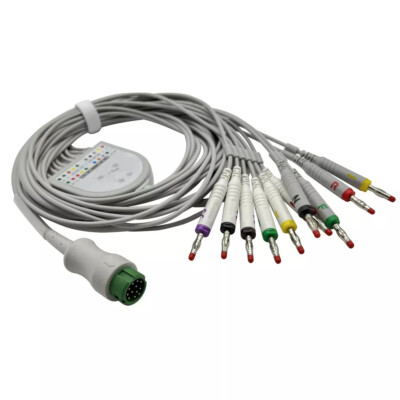 10 Lead EKG ECG Cable Leadwires Banana 4.0 Plug for Biocare IE6 Patient ...