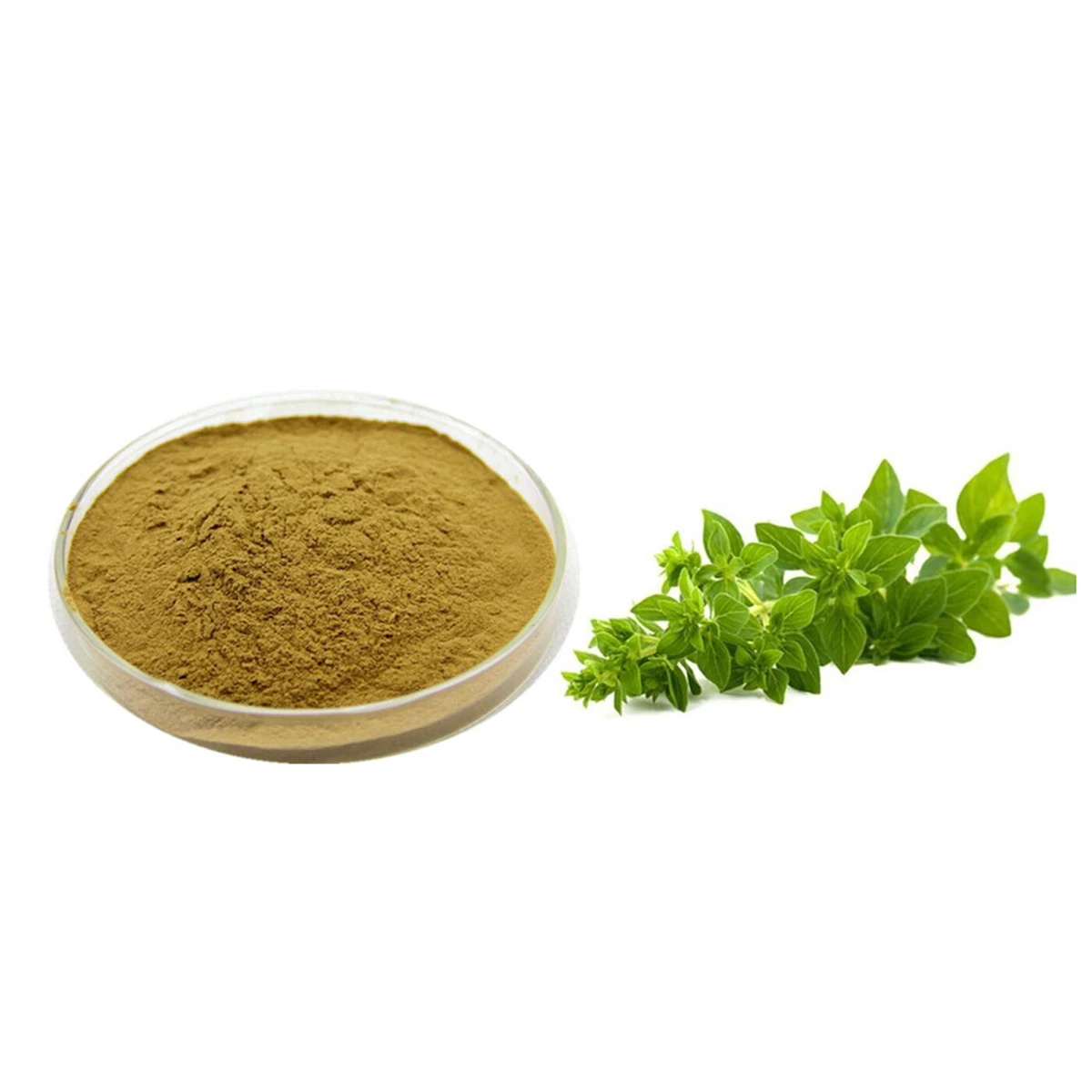 Oregano Powder