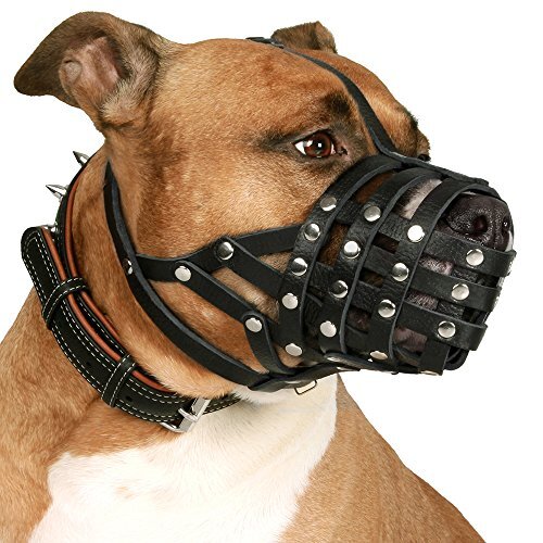 Pitbull Dog Muzzle Leather Amstaff Muzzles Staffordshire Terrier Secure ...