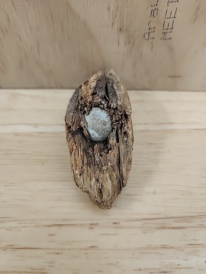 Civil War Relic Minnie Ball Embedded In Wood Bullet Ammo | eBay