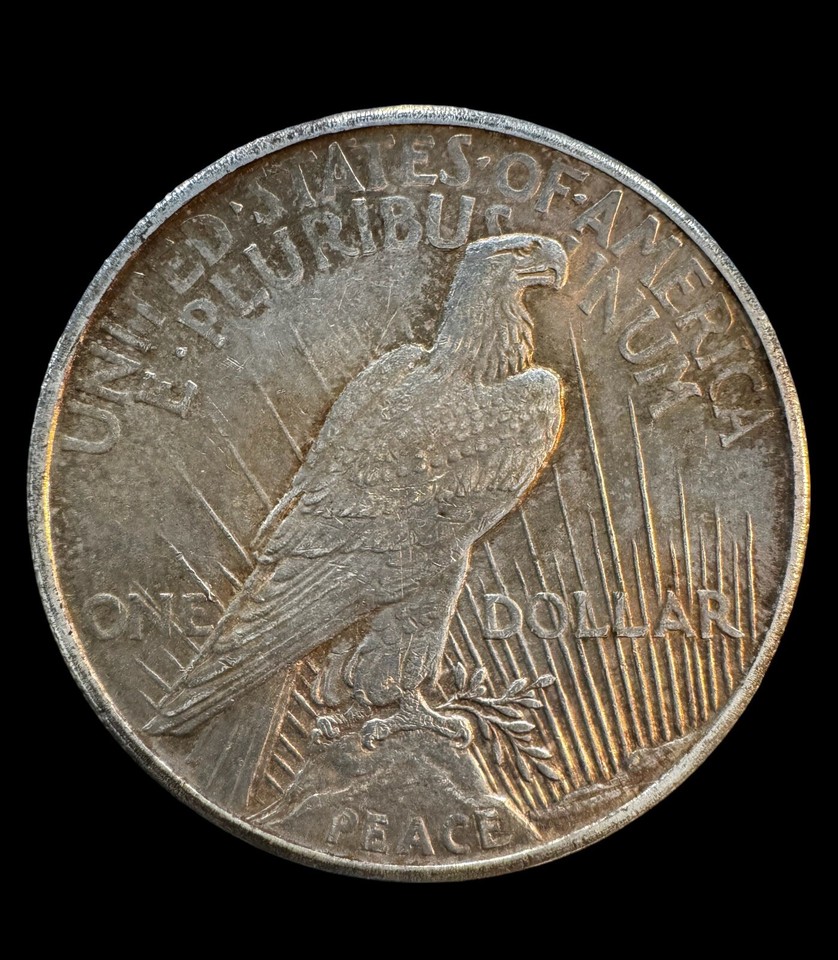 1921 Peace Silver Dollar US Coin, 3/6/24, Free Shipping | eBay