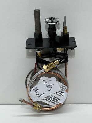0.199.769 PILOT ASSEMBLY 3 WAY TRI-FLAME NATURAL GAS SIT | eBay