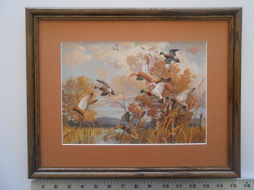 Harry Adamson WORKING IN-MALLARDS 11x14 framed 4.5 541 | eBay
