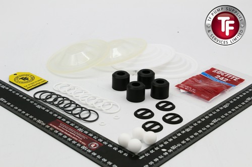 Graco D05911 Wet End Service Kit (Polypropylene/PTFE) For Husky 515 ...