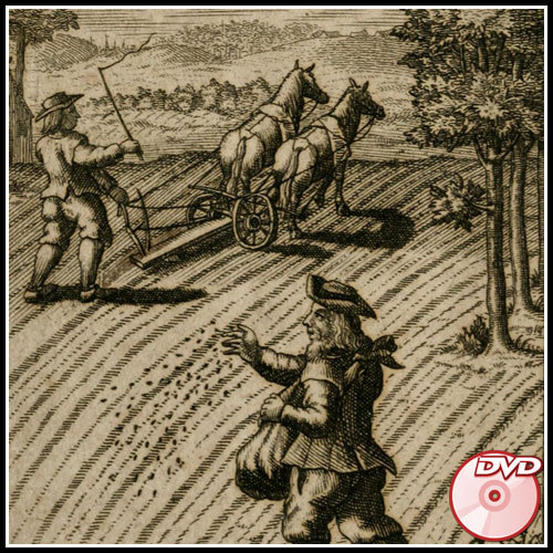 31 Rare Old Books of ALCHEMY - Andreas Libavius - Hermeticism - 2 DVD's ...