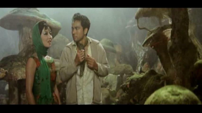 Matango 1963 / Attack of the Mushroom People - English Dubbed | eBay