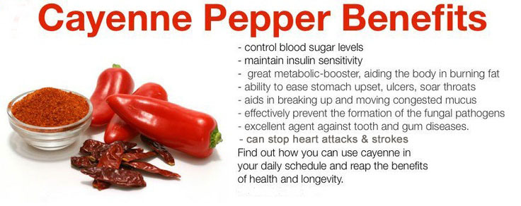 60 Moringa Oleifera & Cayenne Pepper Capsules - Energy,Metabolism ...