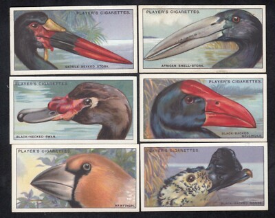 6 Vintage Bird Beak Trade Cards BLACK-NECKED SWAN Storks HAWFINCH Goose ...