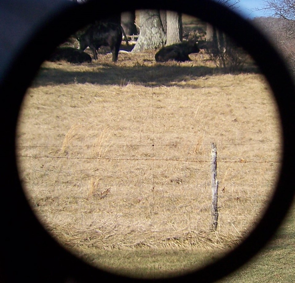 Leupold VX-3 8.5-25x50mm Rifle Scope Long Range Target DOT 2009 | eBay