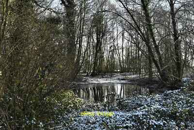 Photo 12x8 Fritton Common: Pond bordering the road 3 c2019 | eBay UK