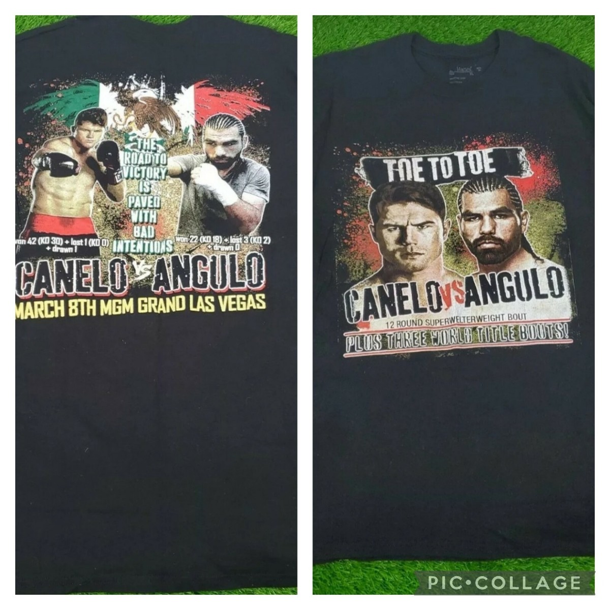 Canelo Alvarez Vs Alfredo Angulo