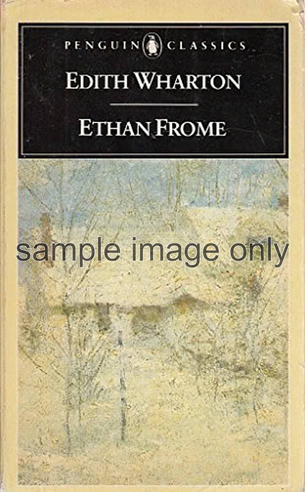 Ethan Frome by Edith Wharton 9780140390582 | eBay Australia