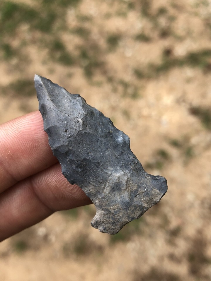 Blue Bolen Bevel Authentic Georgia Florida Native American Artifacts ...