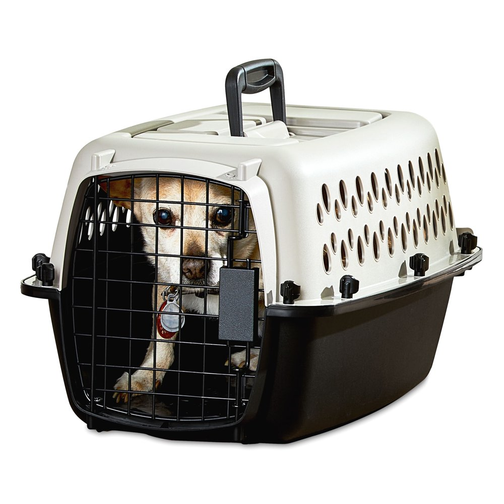 DOG CARRIER TRAVEL CAGES Hard-Sided Pet Kennel Multiple Sizes Sm-Lg | eBay