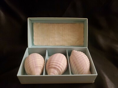 Benandre Sculptured Shell Soaps Ben Rickert Blue Fresh Scent Three 4oz ...