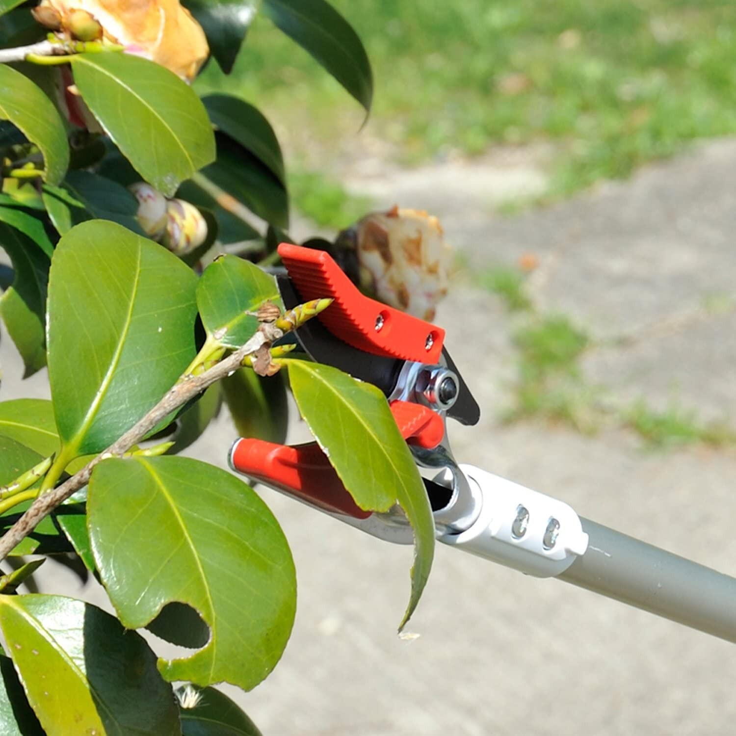 ARS High Branch Cutter Light Double Zoom 1.3M-2.8M 998g 150ZZ-2.8-6D from JP for sale online | eBay