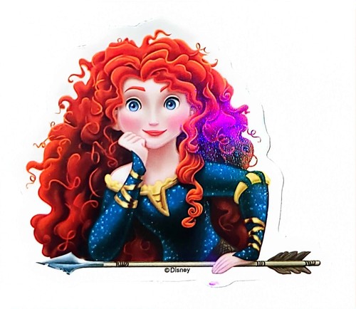 Disney Princesses MERIDA Anime Cartoon Water Resistant Iridescent ...