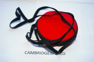 SANDISK CARD CARRY STORAGE PADDED CASE with CARRYING NECK STRAP | eBay