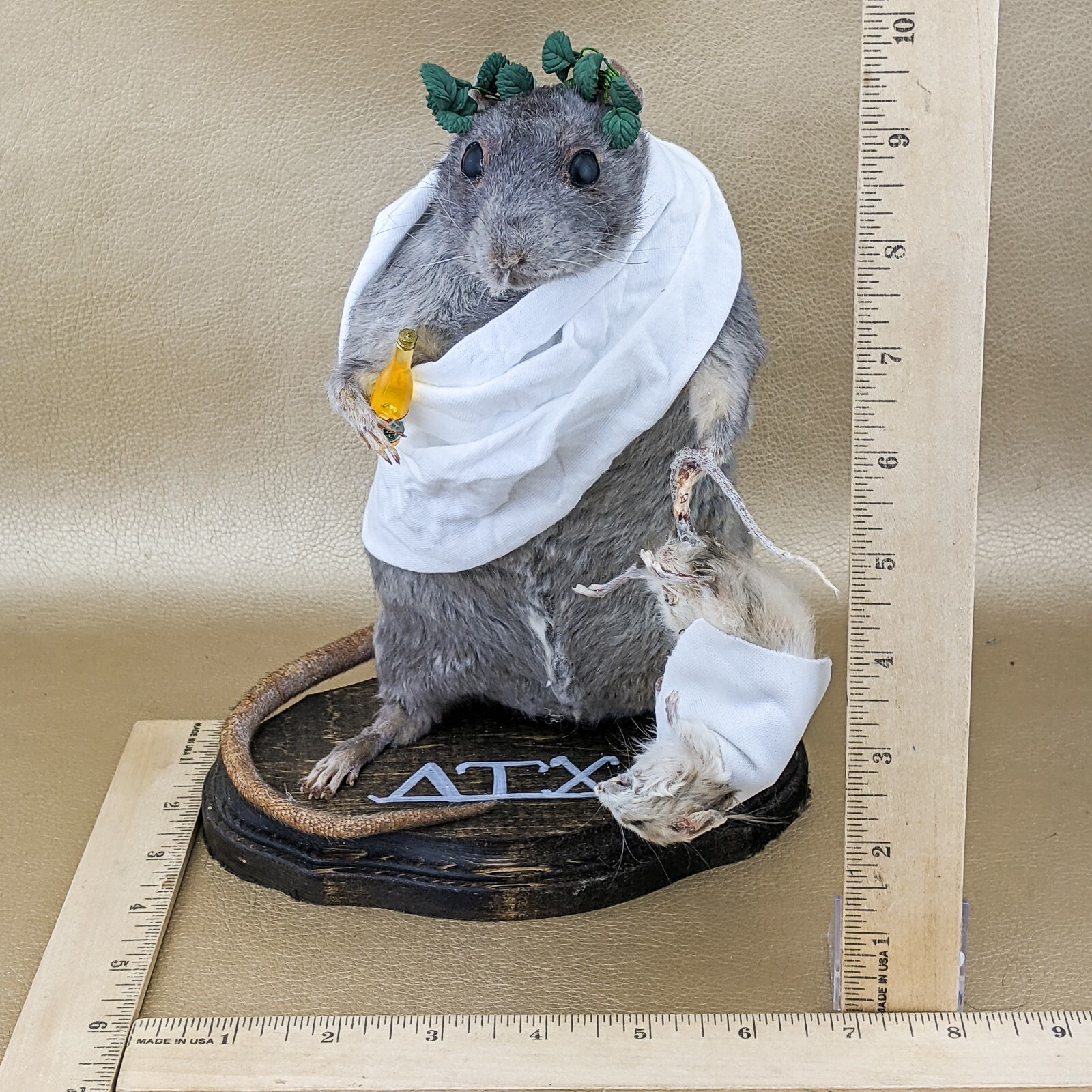 G35 Frat Rat Taxidermy Oddities Curiosities Mouse Animal House John ...
